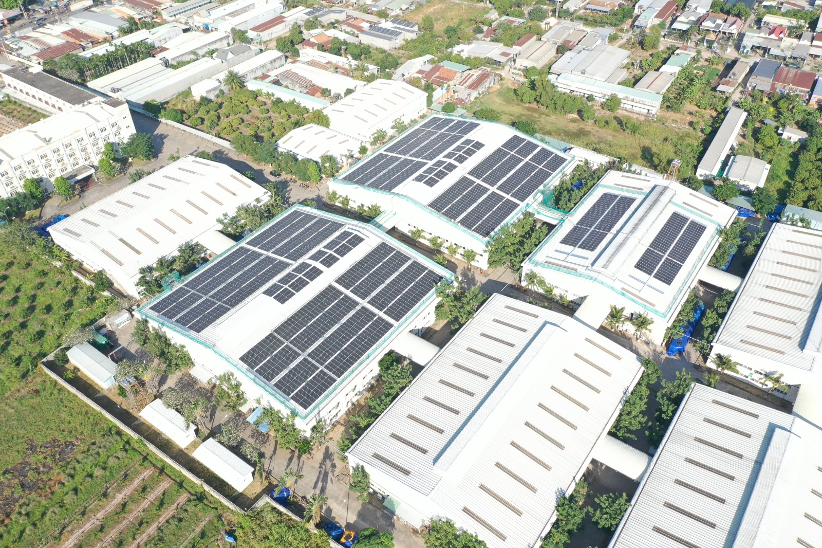 Solarvest Vietnam | Trusted Clean Energy Solutions for Businesses